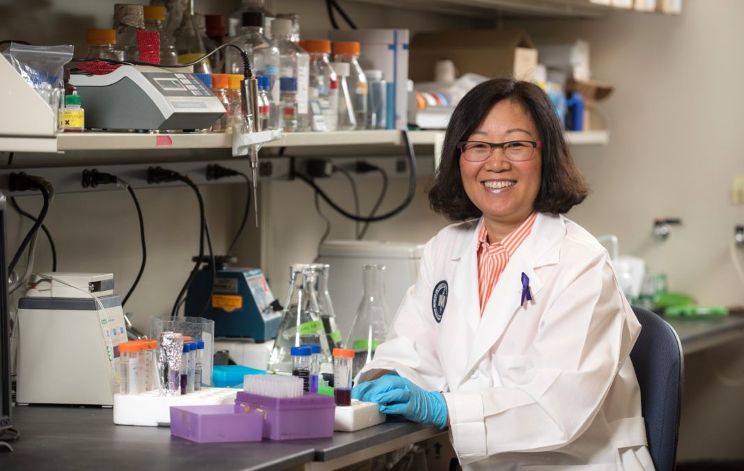 School of Medicine Faculty Member, Collaborator Receive $2.6 Million ...