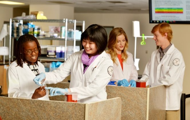 College of Pharmacy Students, Organizations Recognized Nationally - The Den