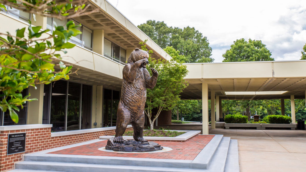 Get your Mercer-themed Zoom backgrounds here - The Den