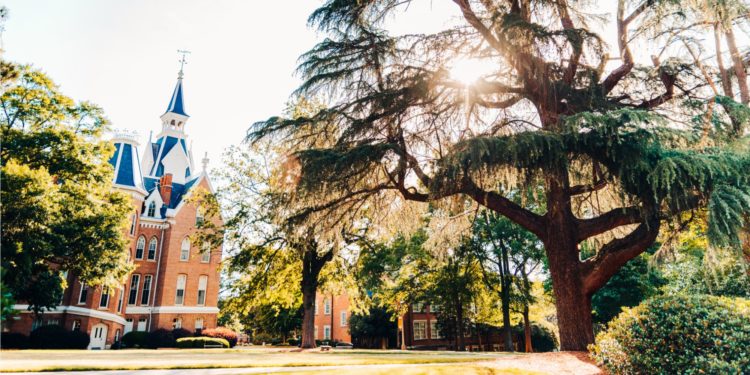 Dr. Danielle Buehrer named vice provost of institutional effectiveness