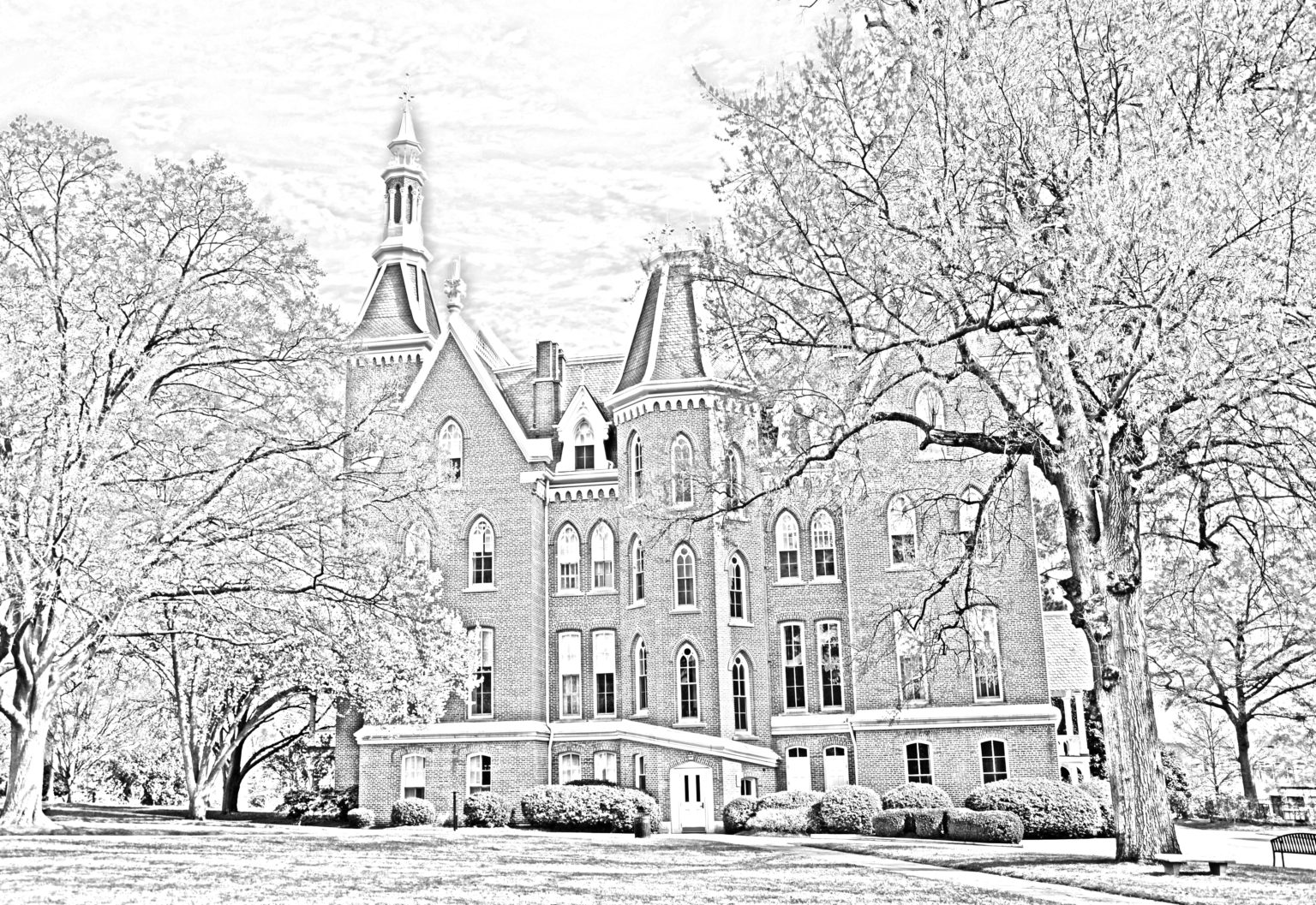 Fun Friday: Downloadable Mercer Coloring Sheets | Round 6 - The Den