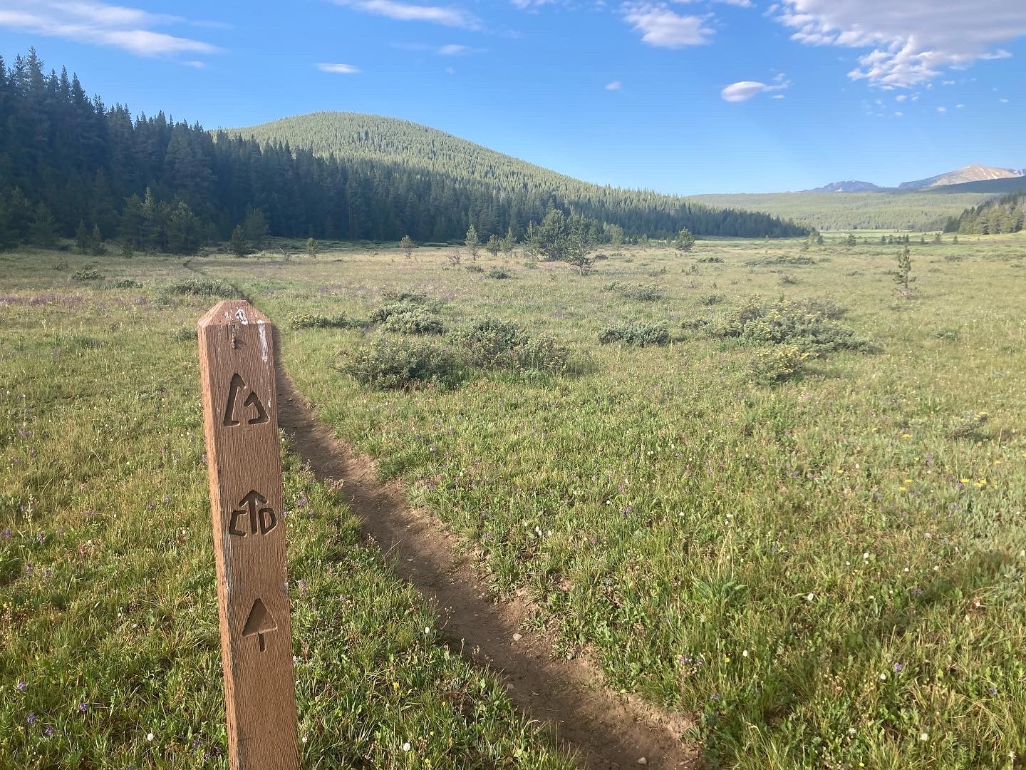 Mercer professor has hiked 4,000 miles — and counting