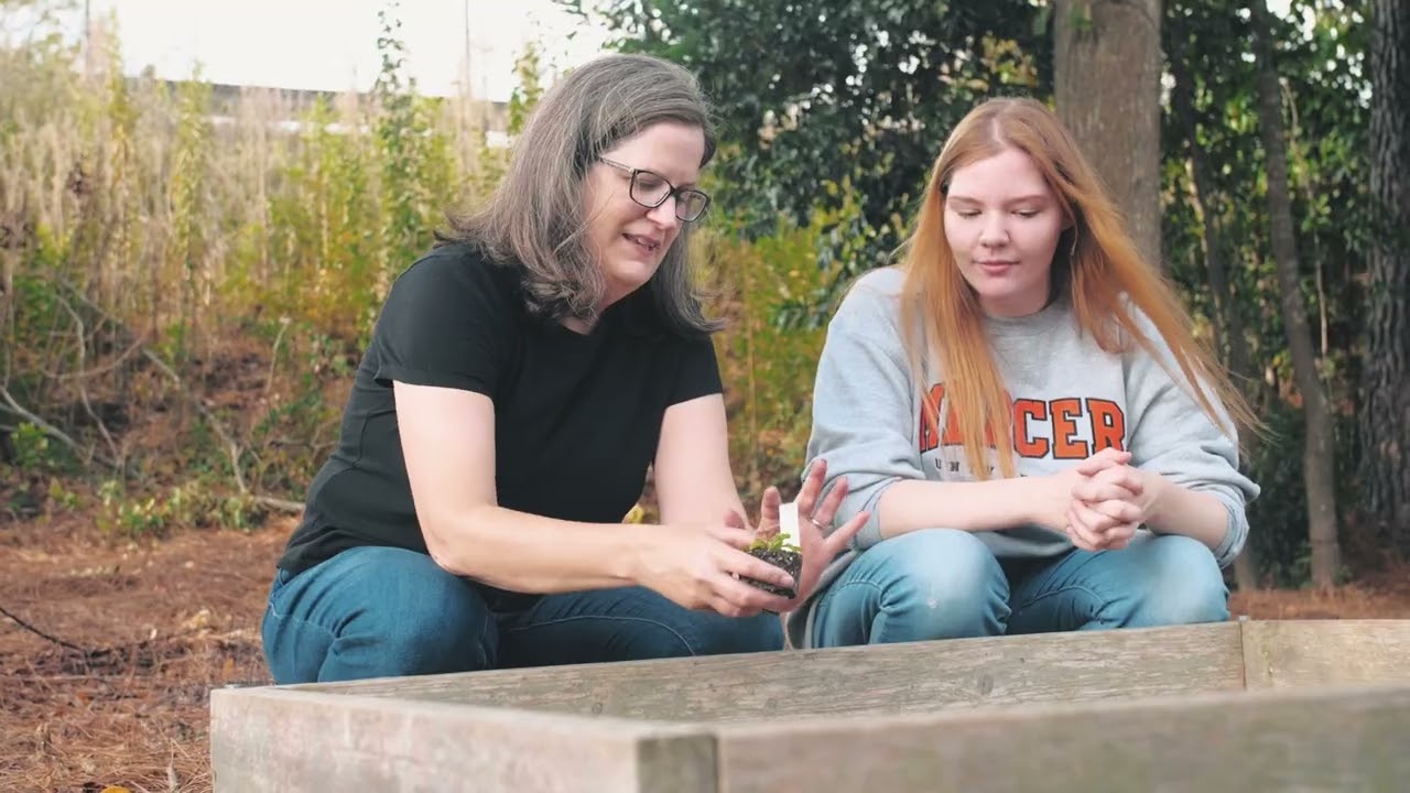 Mercer professor works to save rare wildflower from extinction