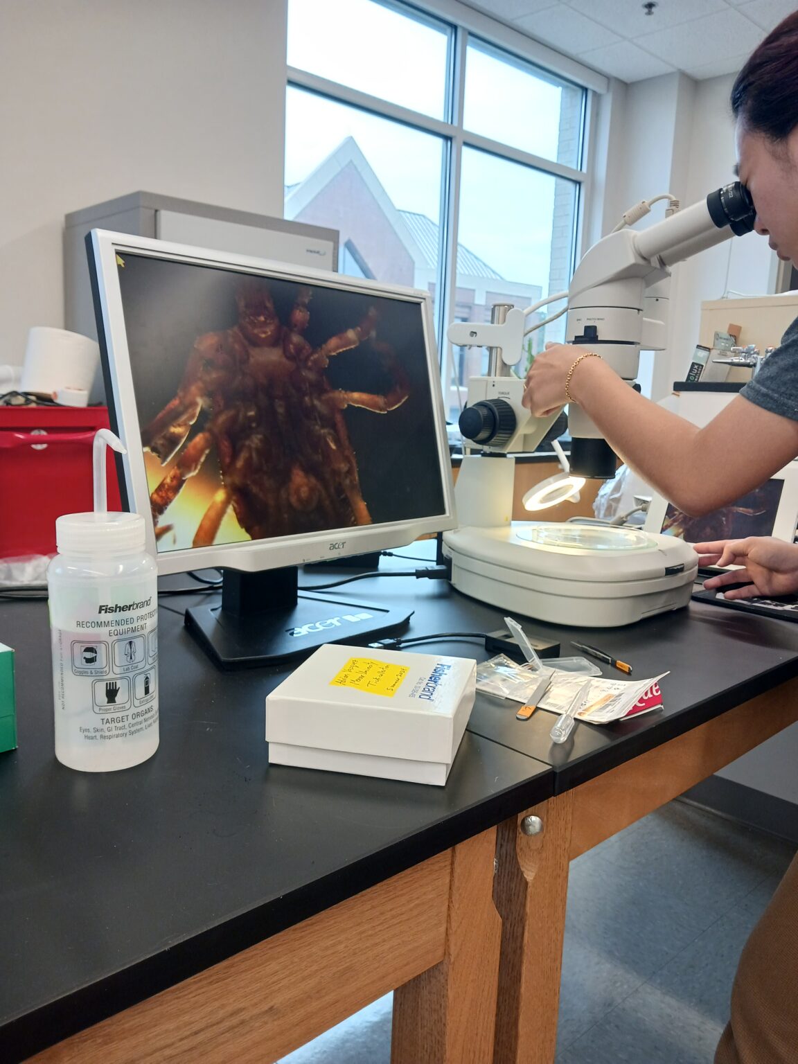 Mercer tick, mosquito research aims to reduce disease in humans